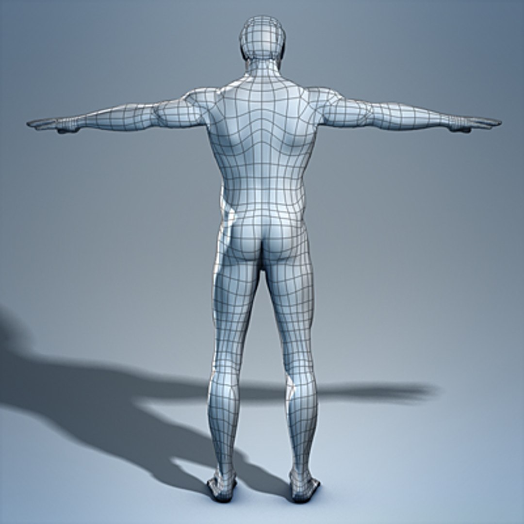 3ds max anatomy