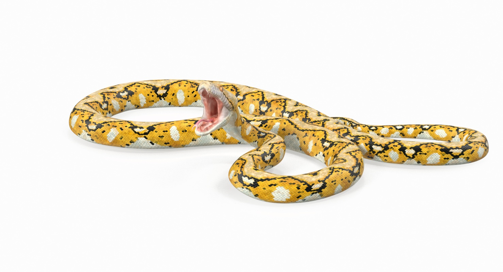 Yellow python snake rigged 3D - TurboSquid 1417656