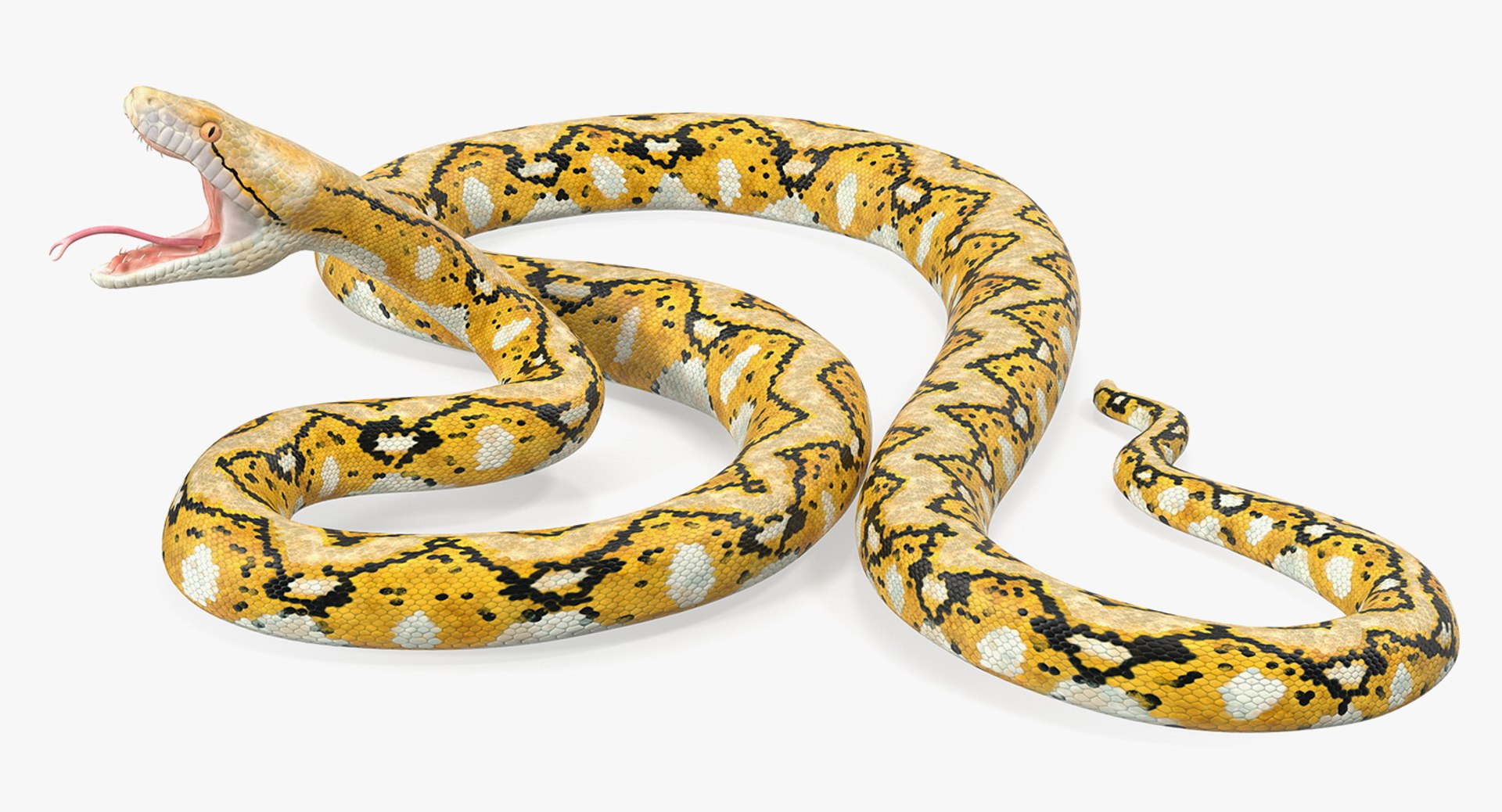 Yellow python snake rigged 3D - TurboSquid 1417656