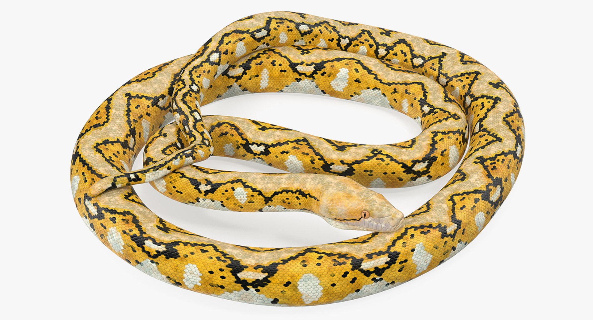 Yellow python snake rigged 3D - TurboSquid 1417656