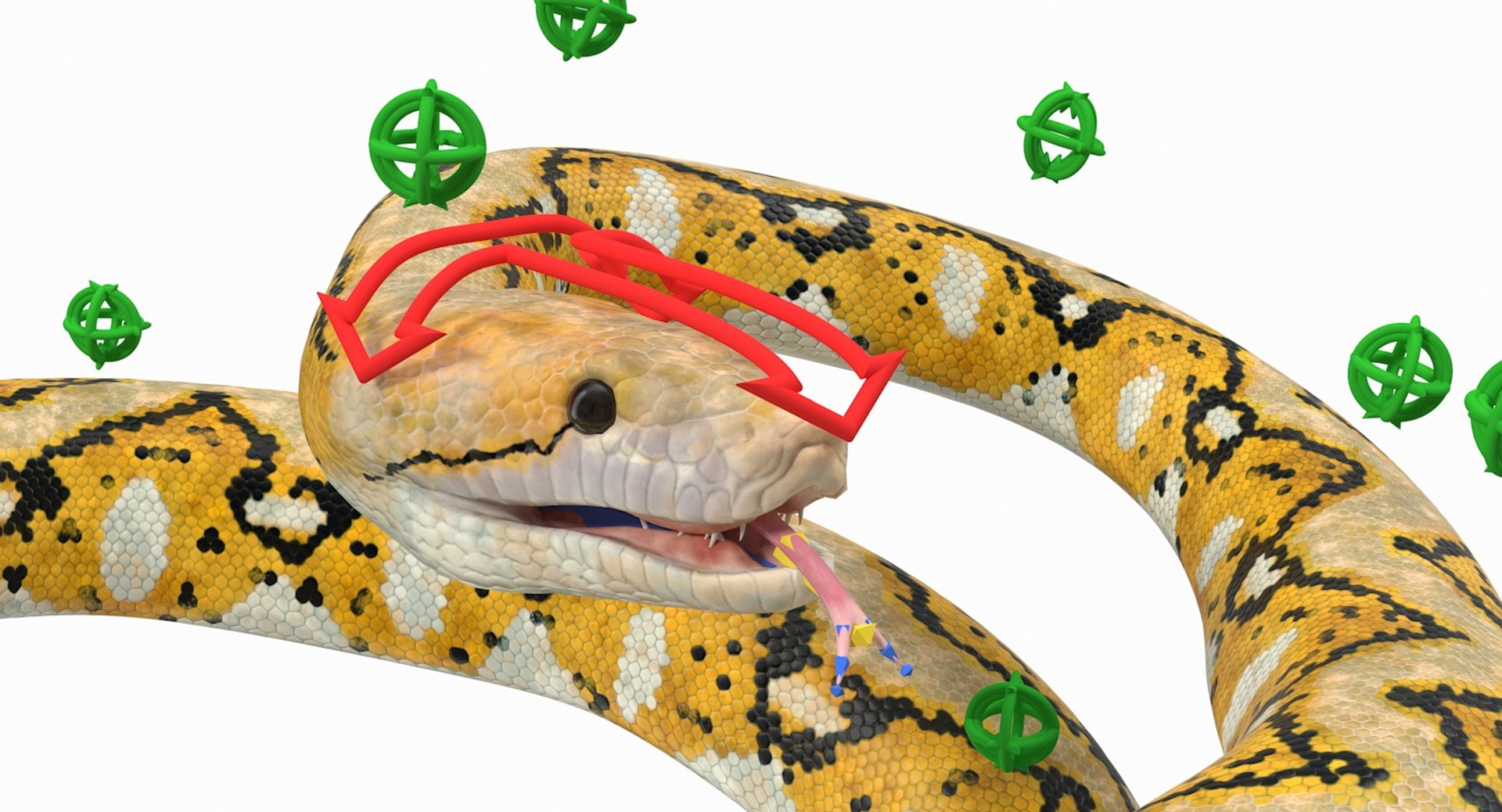 Yellow python snake rigged 3D - TurboSquid 1417656