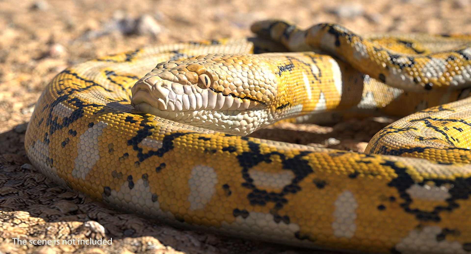 Yellow python snake rigged 3D - TurboSquid 1417656