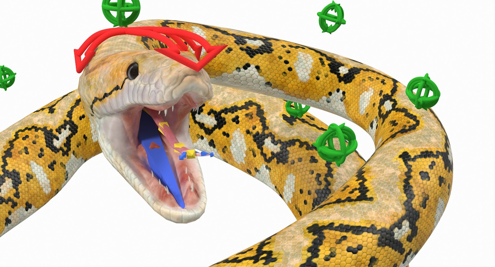 Yellow python snake rigged 3D - TurboSquid 1417656