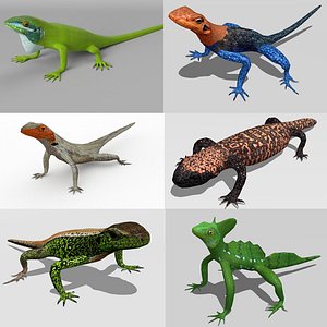 Reptile 3D Models for Download | TurboSquid