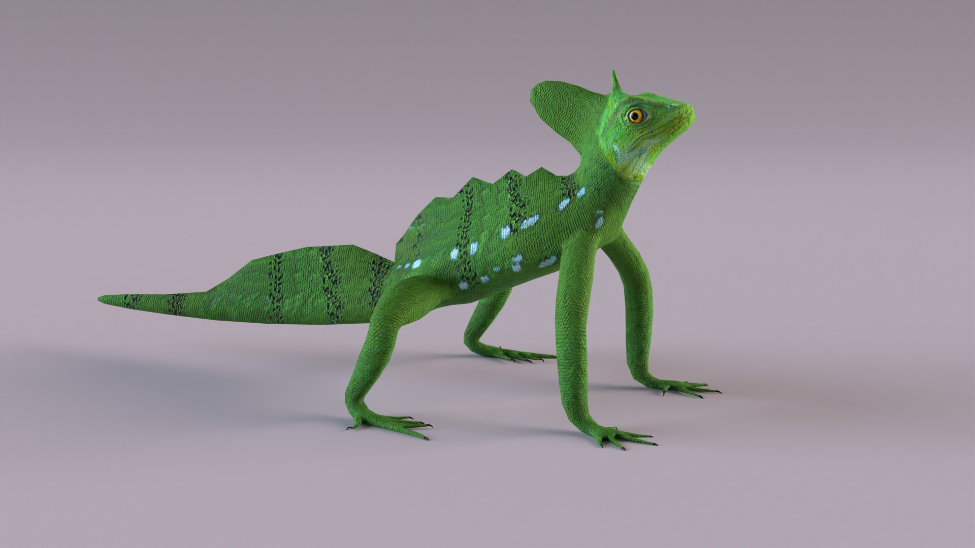 Lizards bundle 3D model - TurboSquid 1714683