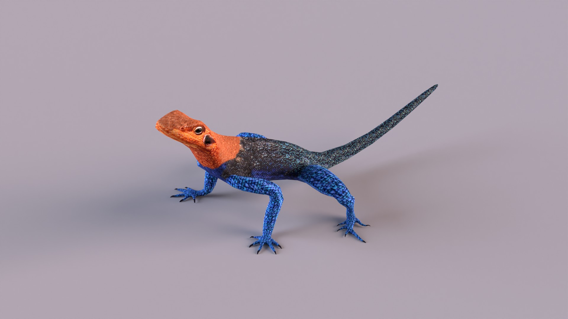 Lizards Bundle 3D Model - TurboSquid 1714683
