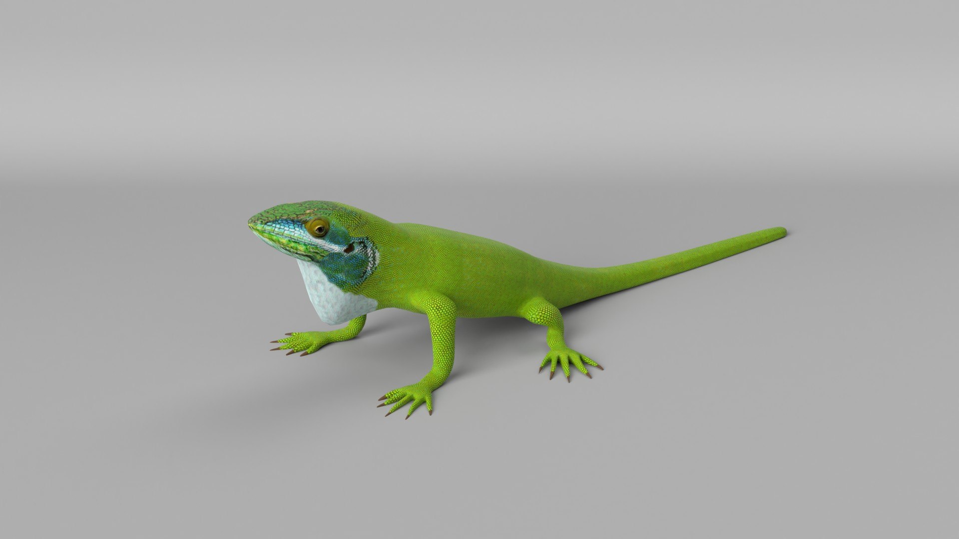 Lizards bundle 3D model - TurboSquid 1714683