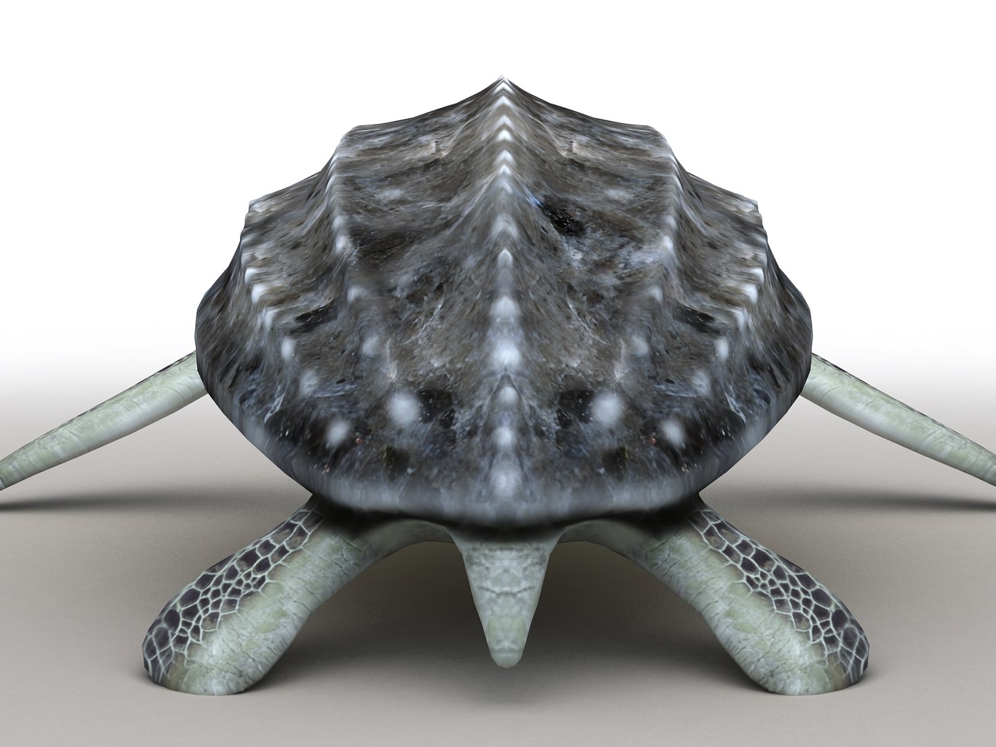 Sea Turtle 3D Model - TurboSquid 1438260