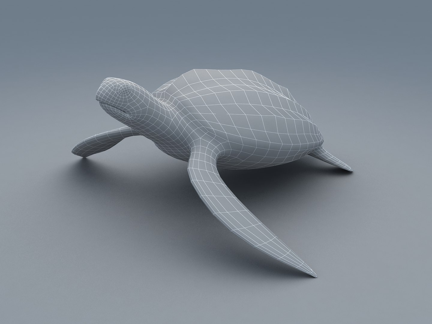 Sea Turtle 3D Model - TurboSquid 1438260