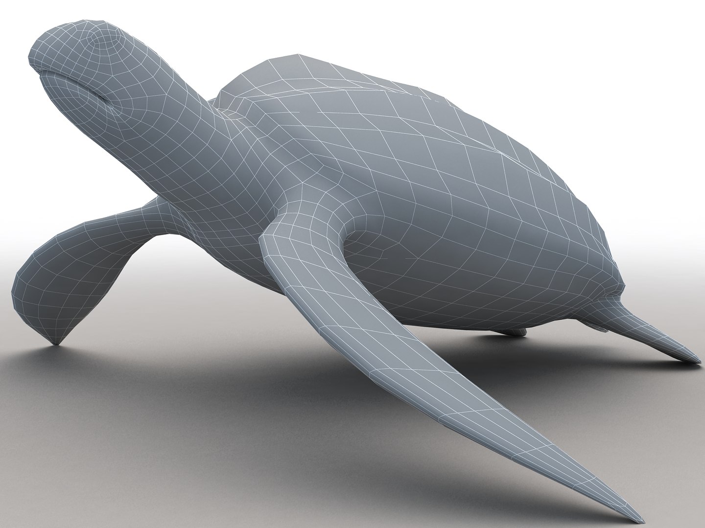 Sea Turtle 3D Model - TurboSquid 1438260
