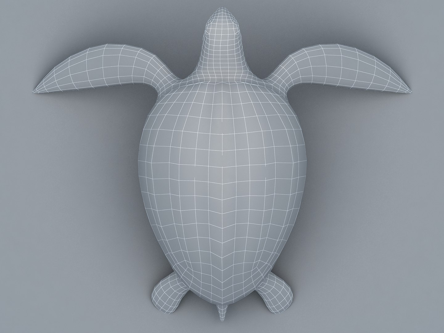 Sea Turtle 3D Model - TurboSquid 1438260
