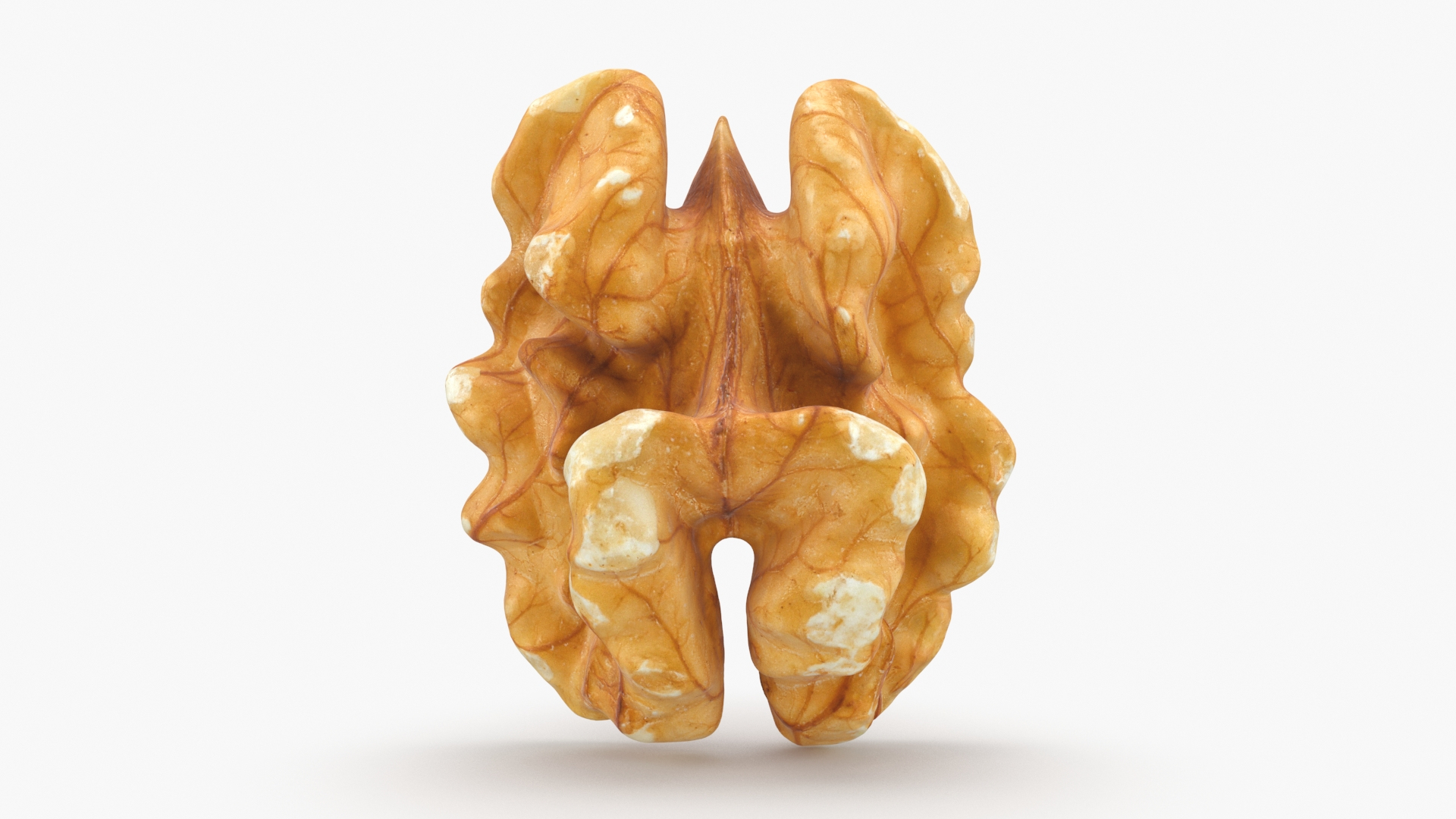 3D Model Walnut And Walnut Shell Collection - TurboSquid 2307481