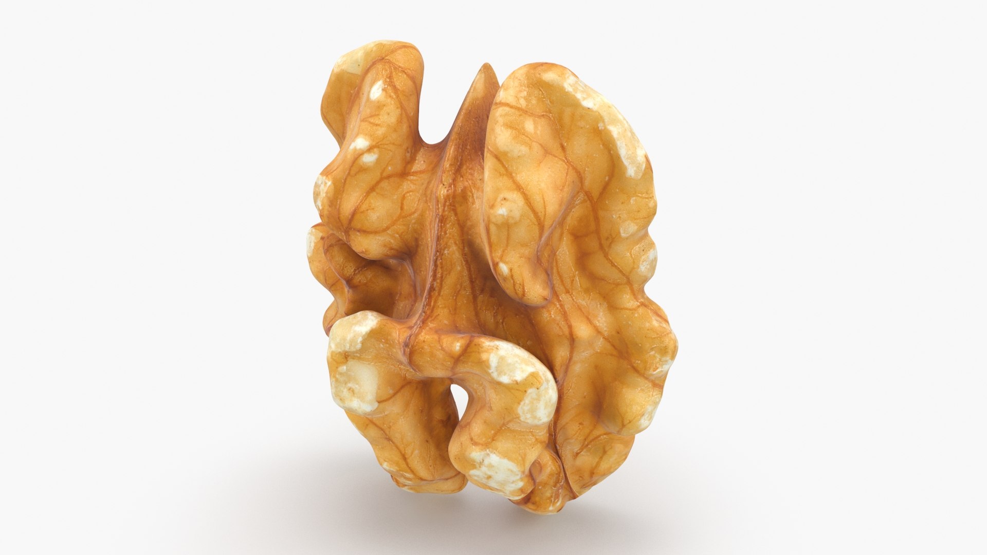 3D Model Walnut And Walnut Shell Collection - TurboSquid 2307481