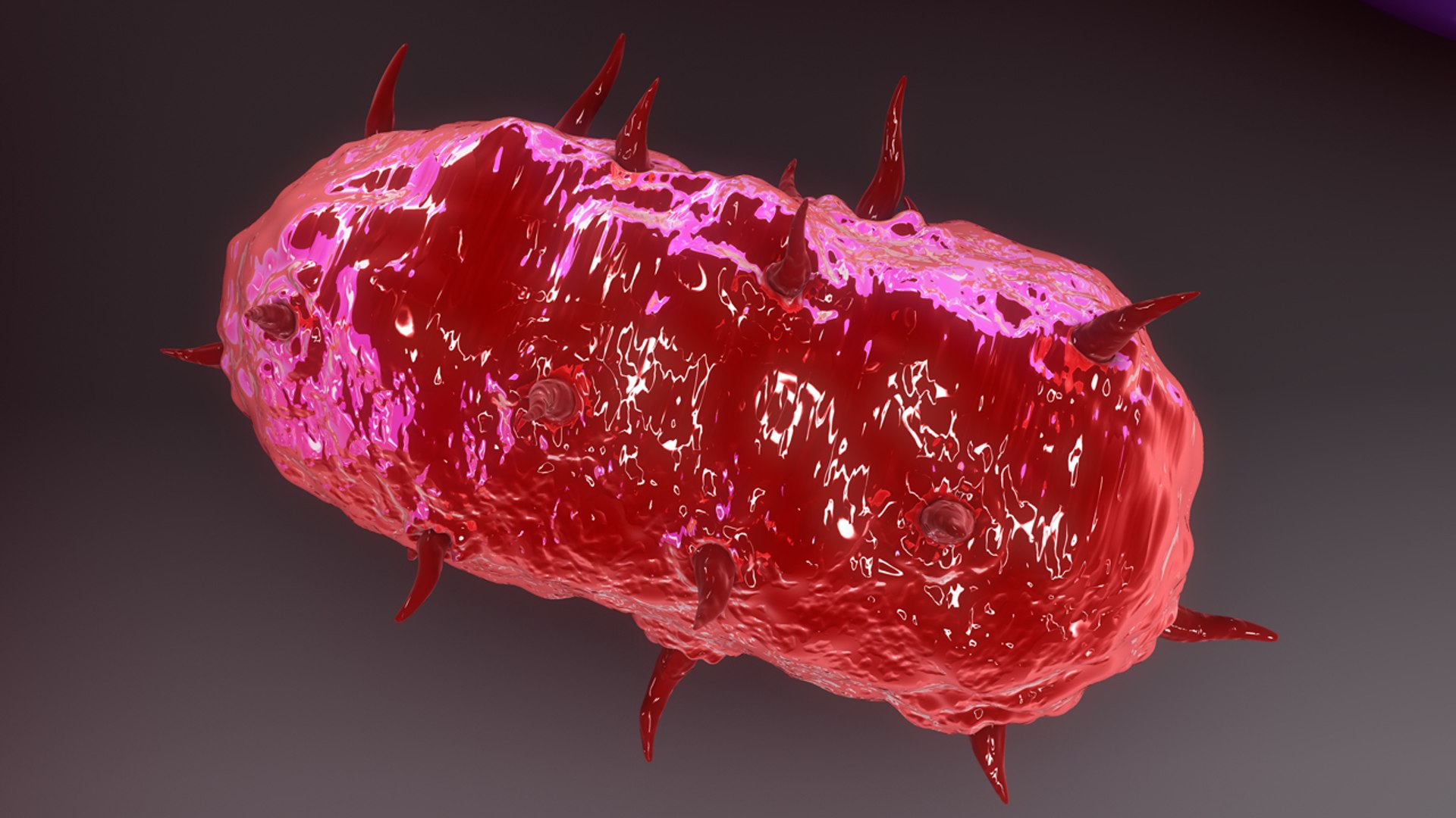 3d Antigene Bacteria Model