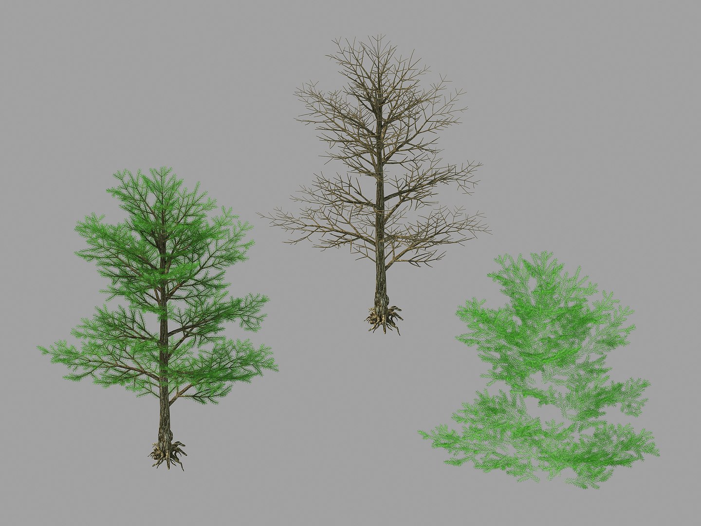 3D moon temple - pine tree - TurboSquid 1449442