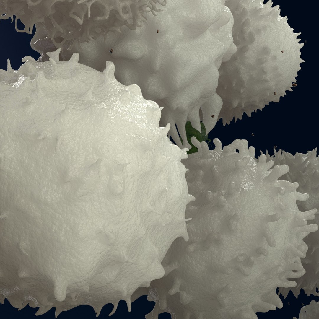 9 Lymphocytes 3D - TurboSquid 1353472