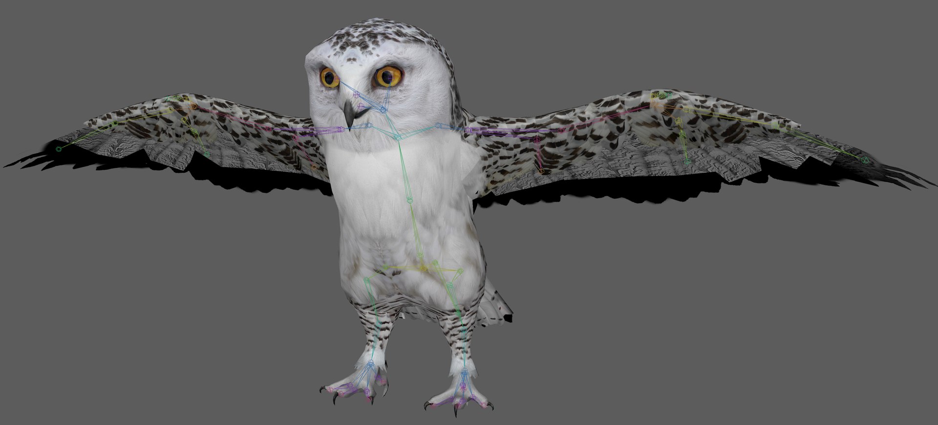 Snowy White Owl Low Poly Rig 3D - TurboSquid 1989111