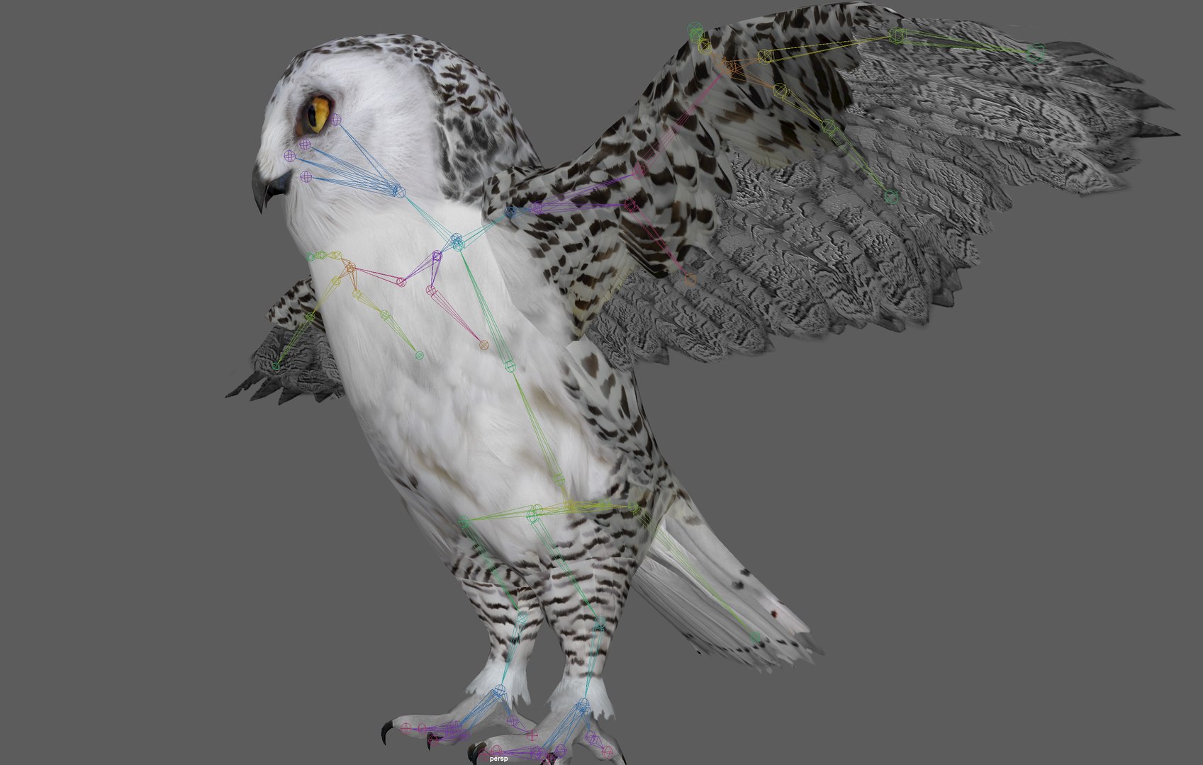 Snowy White Owl Low Poly Rig 3D - TurboSquid 1989111