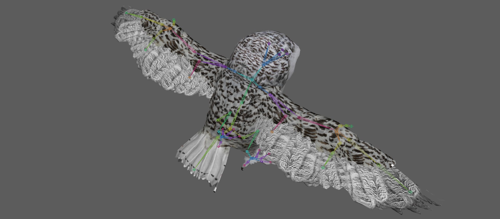 Snowy White Owl Low Poly Rig 3D - TurboSquid 1989111