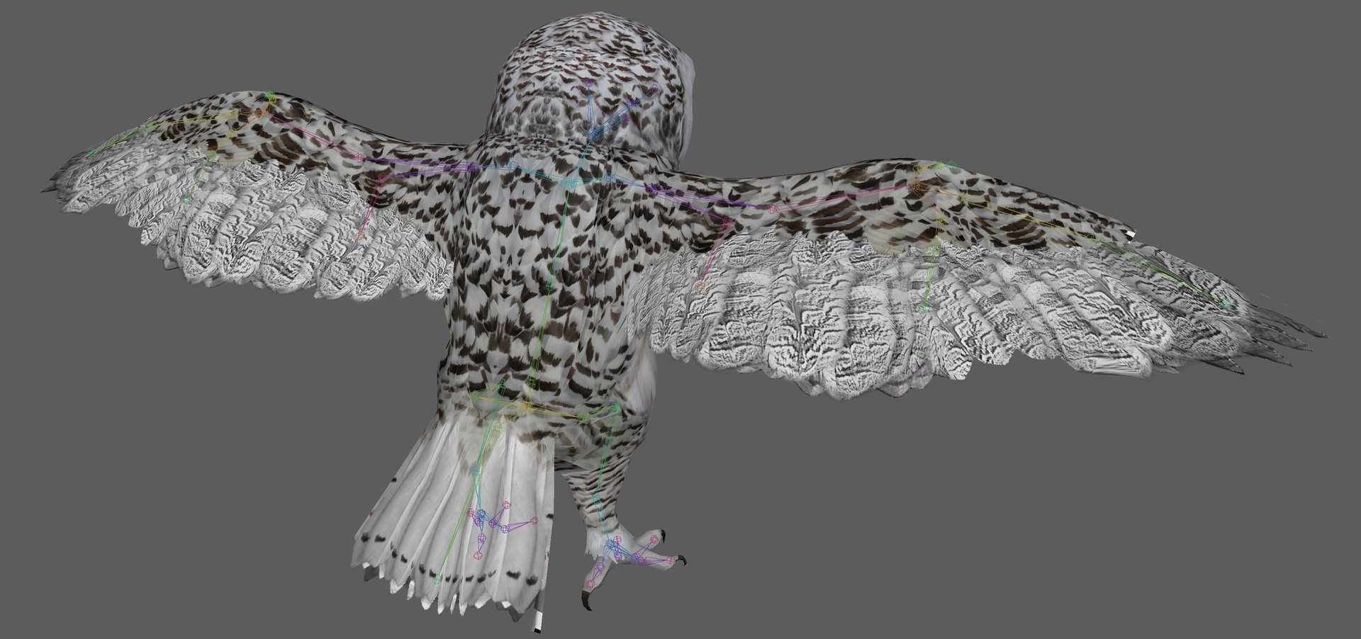 Snowy White Owl Low Poly Rig 3D - TurboSquid 1989111