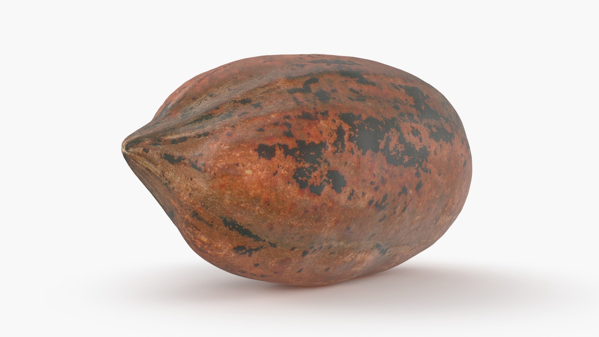 Pecan Shell 03 3D Model - TurboSquid 1978153