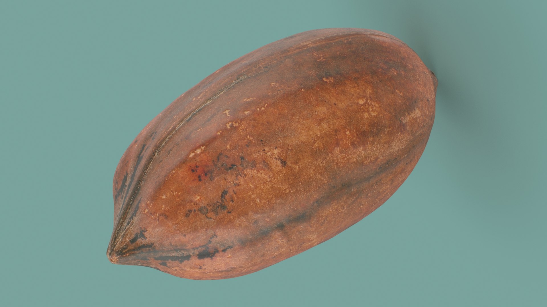 Pecan Shell 03 3D model - TurboSquid 1978153