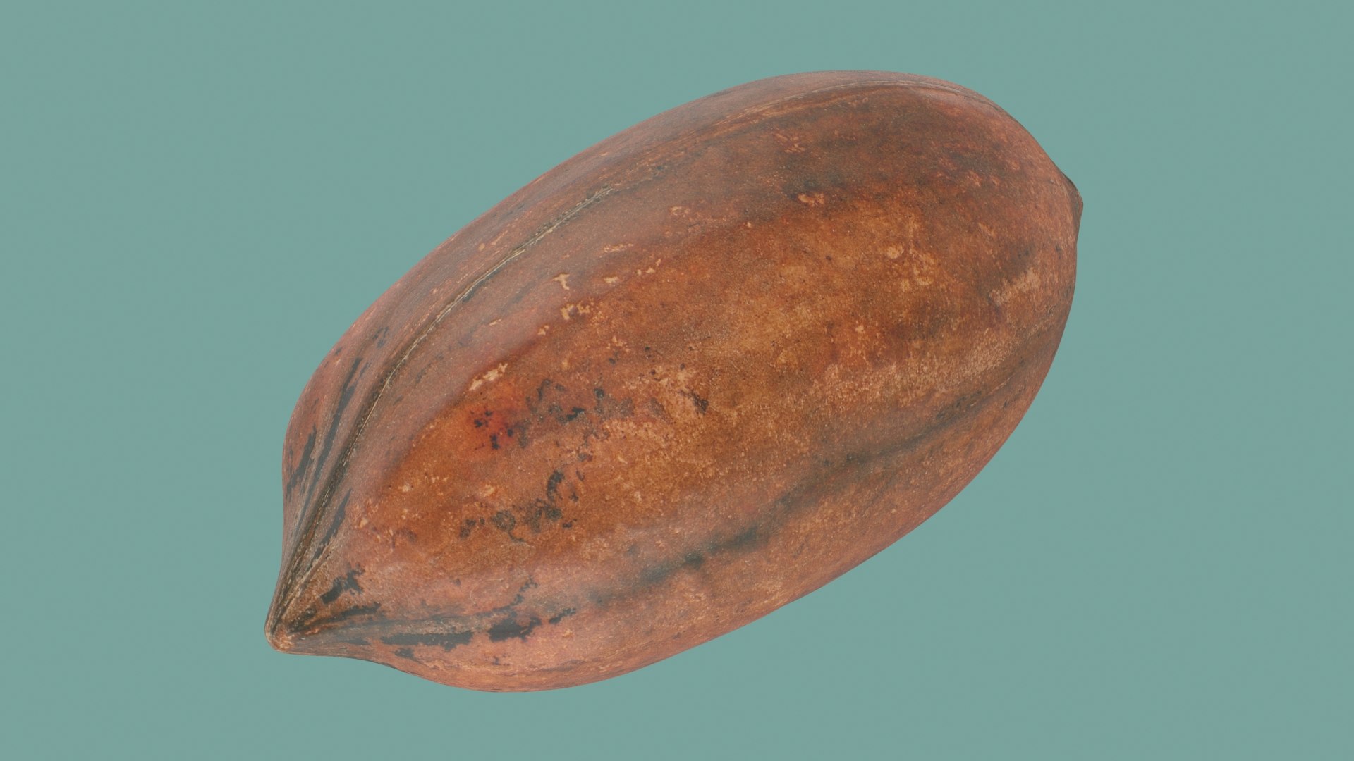 Pecan Shell 03 3D model - TurboSquid 1978153