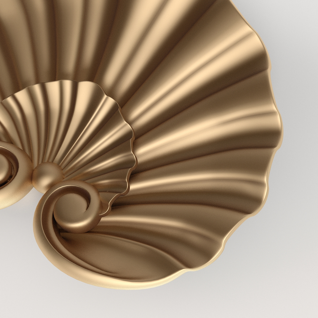 carved shell max
