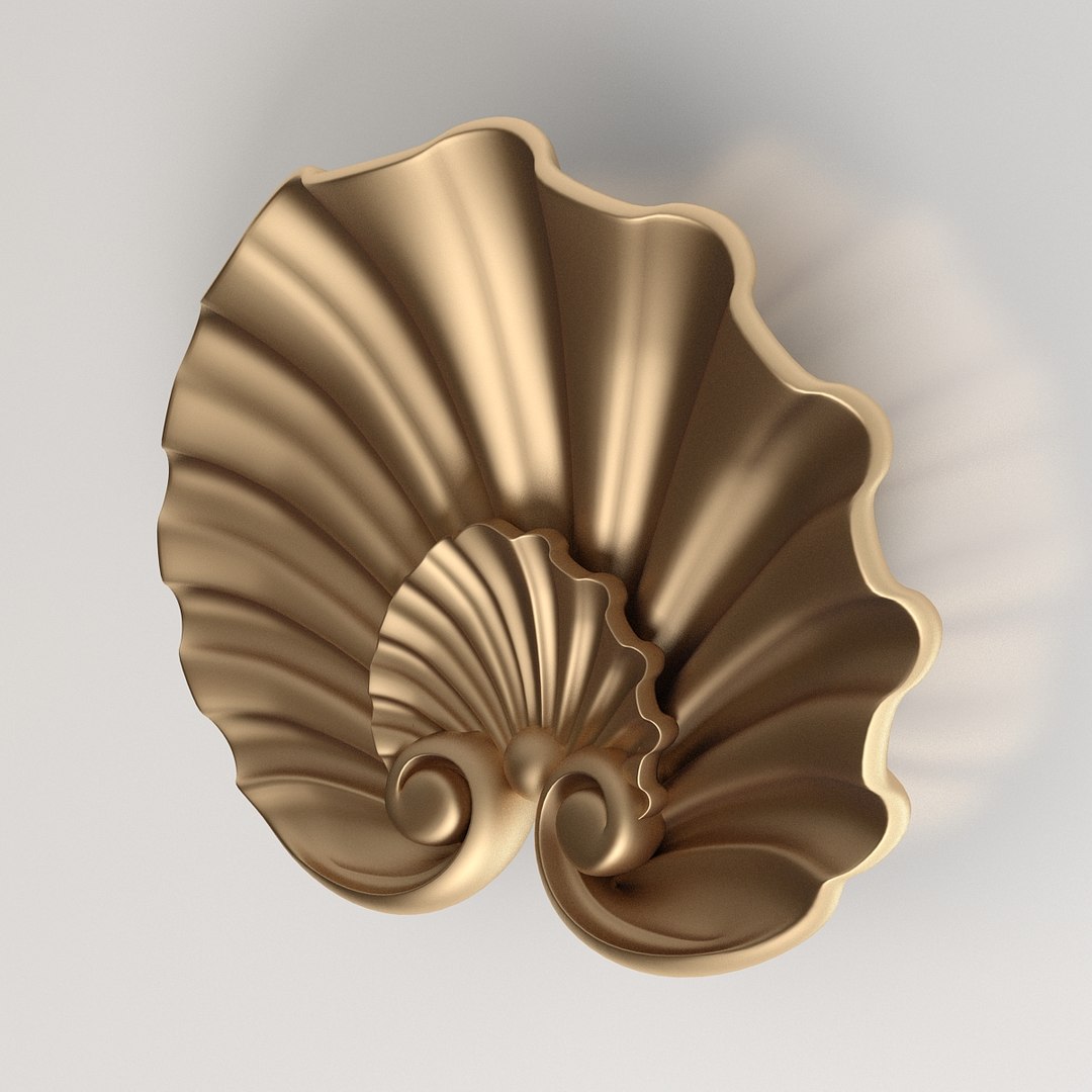 Carved Shell Max