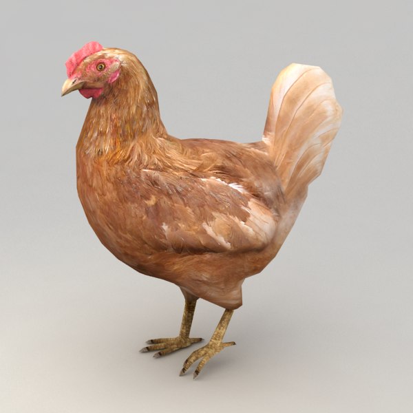 rigged brown chicken 3d model
