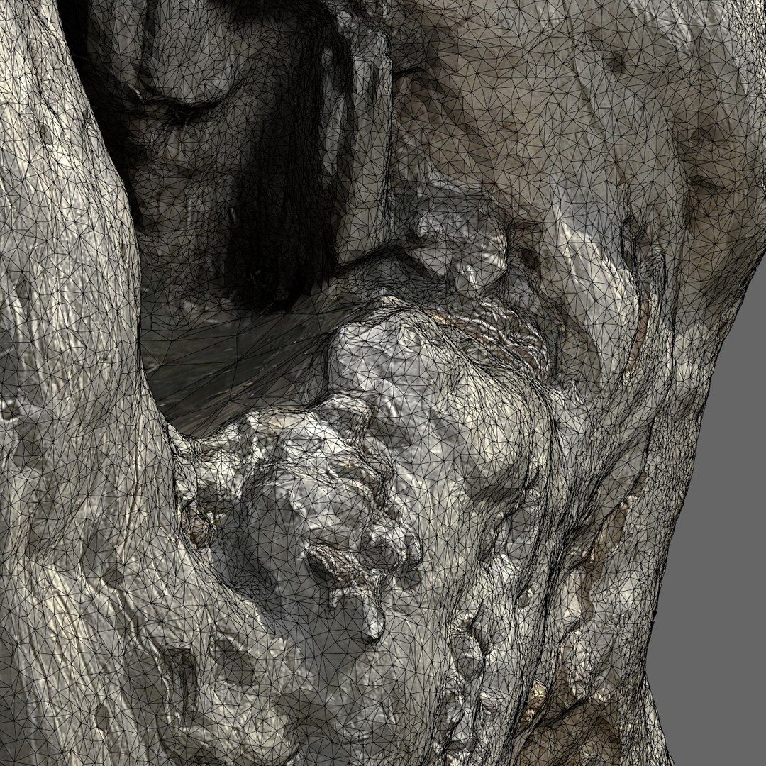 3D Gnarly Tree Trunk - TurboSquid 1562035