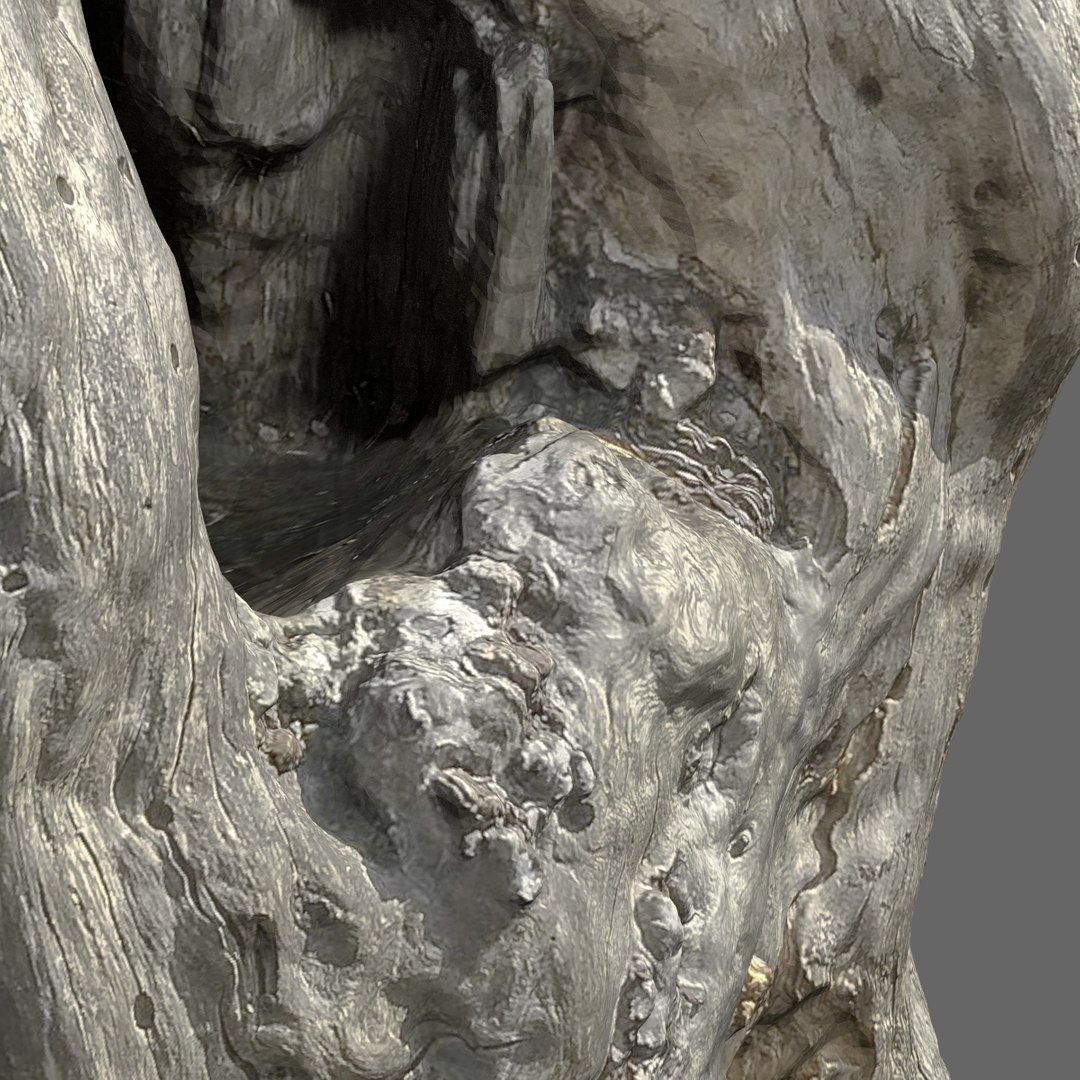 3D Gnarly Tree Trunk - TurboSquid 1562035