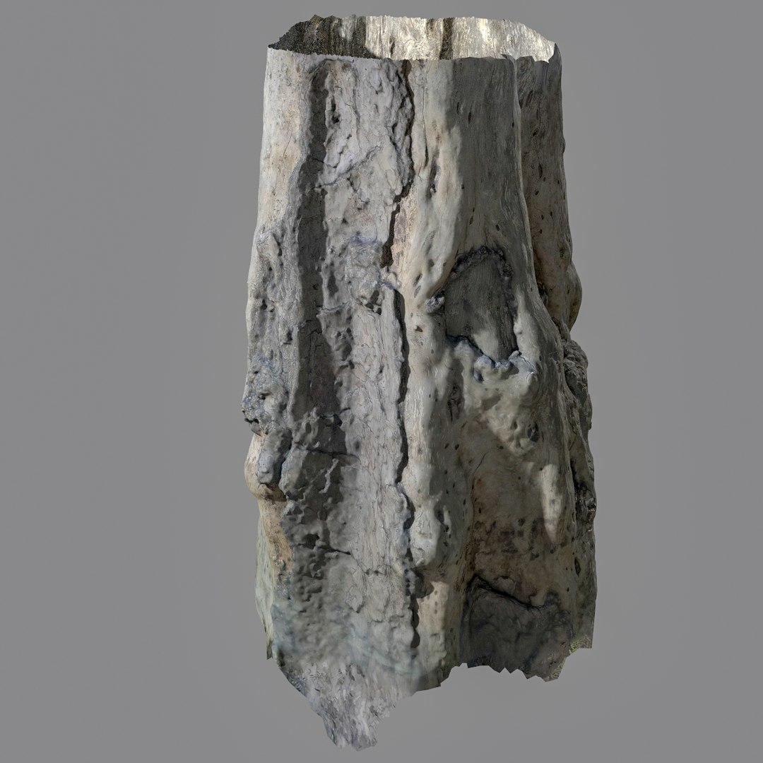 3D Gnarly Tree Trunk - TurboSquid 1562035