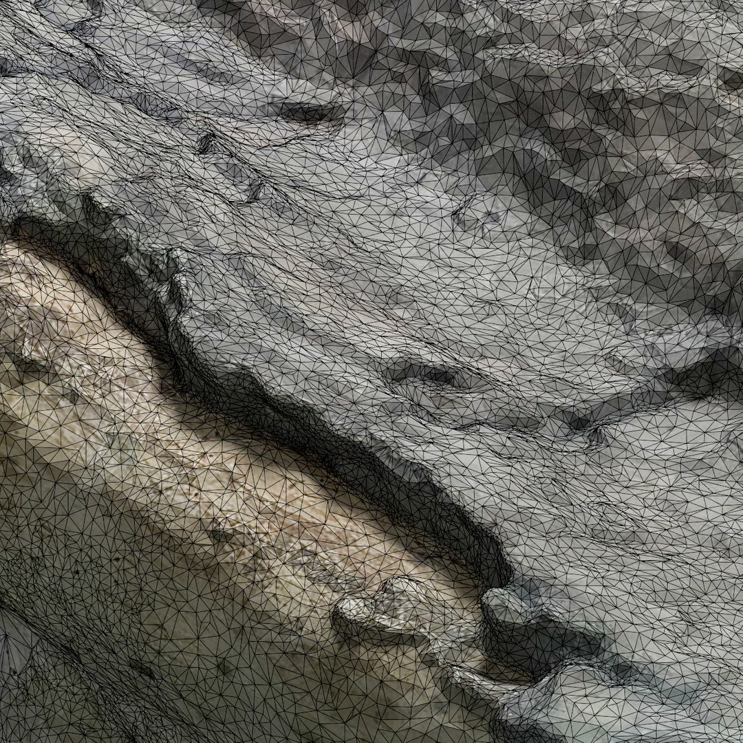 3D Gnarly Tree Trunk - TurboSquid 1562035