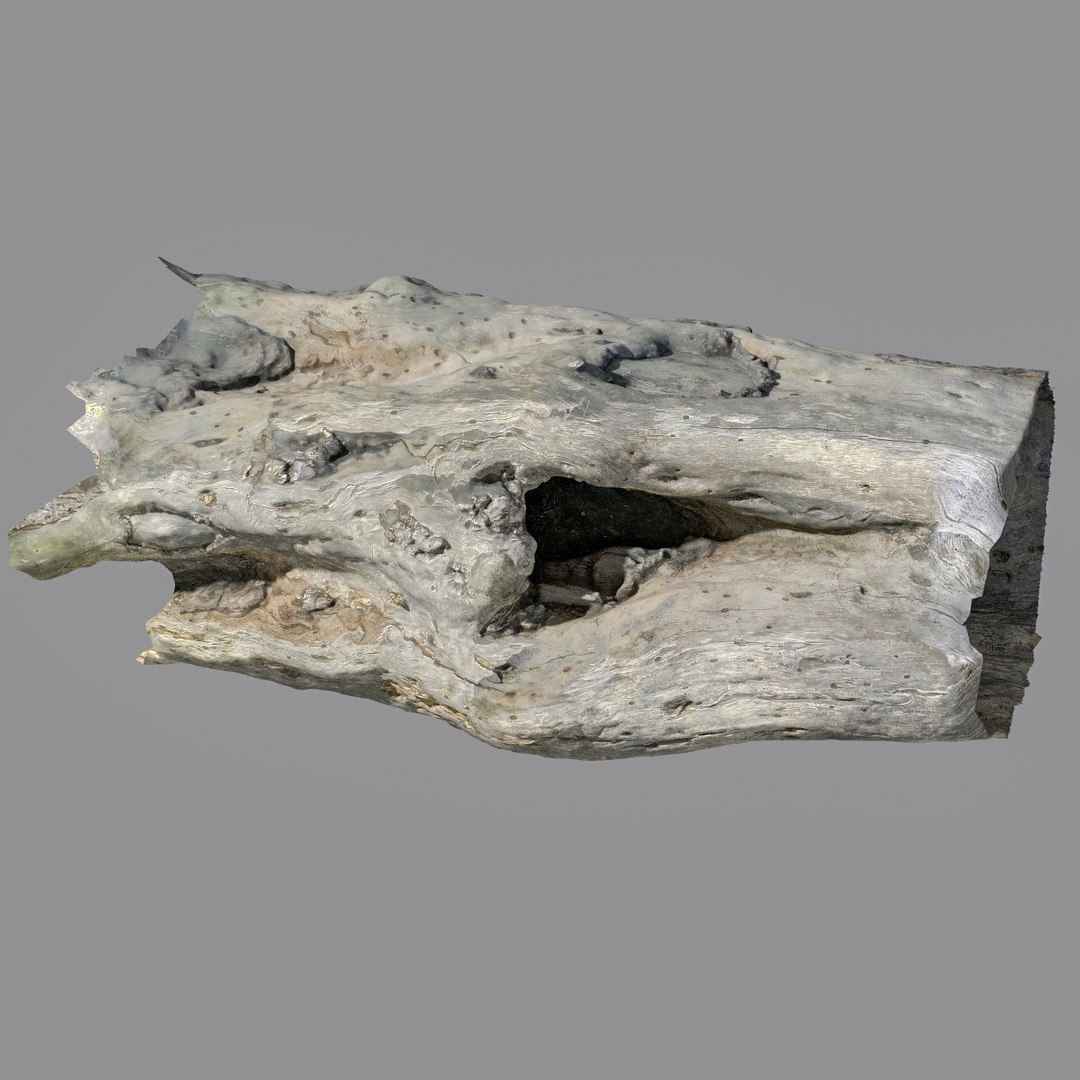 3D Gnarly Tree Trunk - TurboSquid 1562035