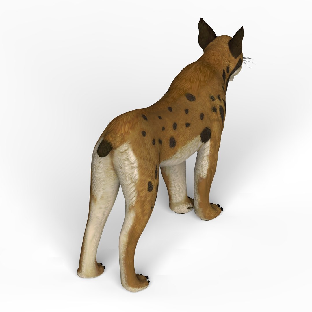 3D Model Ready Lynx - TurboSquid 1507078