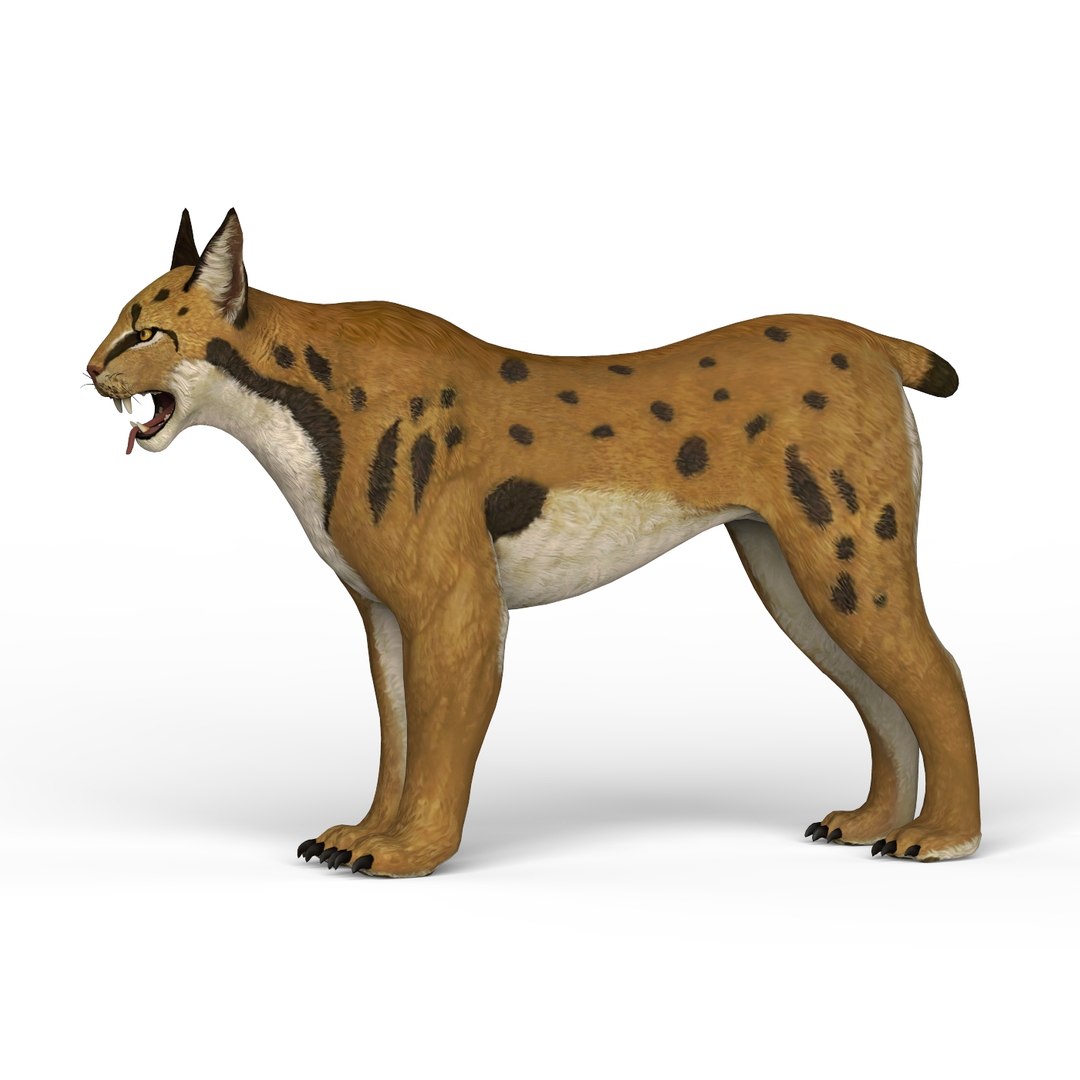 3D Model Ready Lynx - TurboSquid 1507078