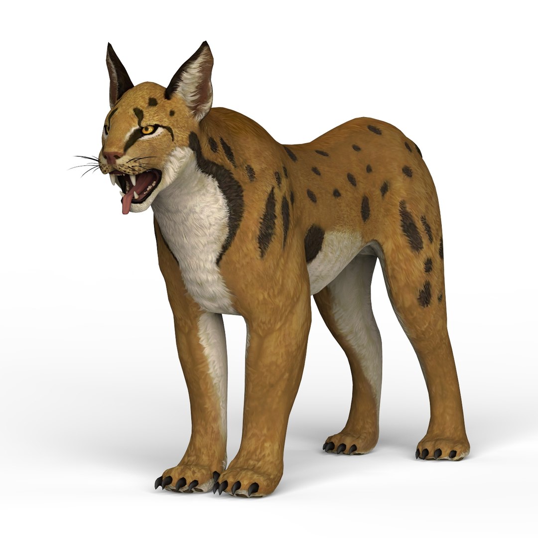 3D Model Ready Lynx - TurboSquid 1507078