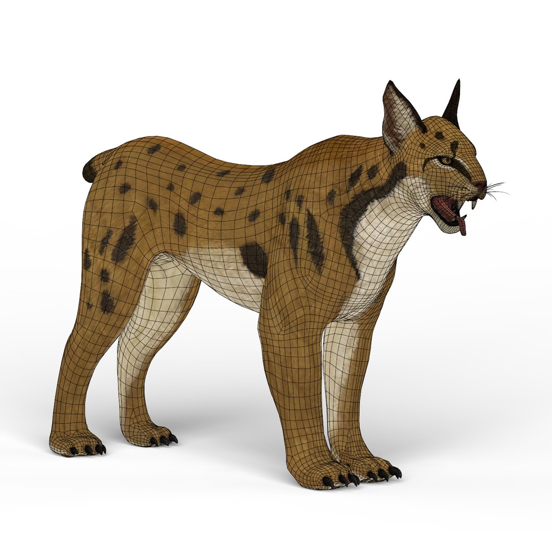 3D Model Ready Lynx - TurboSquid 1507078