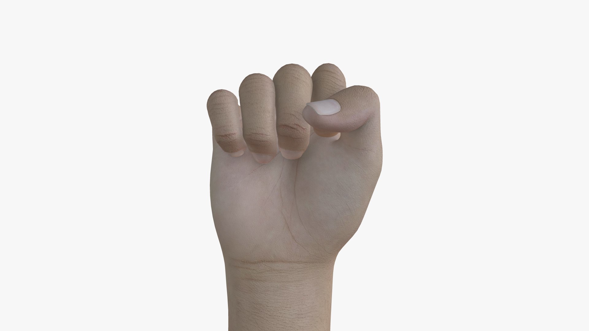 HND-006 Right Hand Fist Model - TurboSquid 1979824