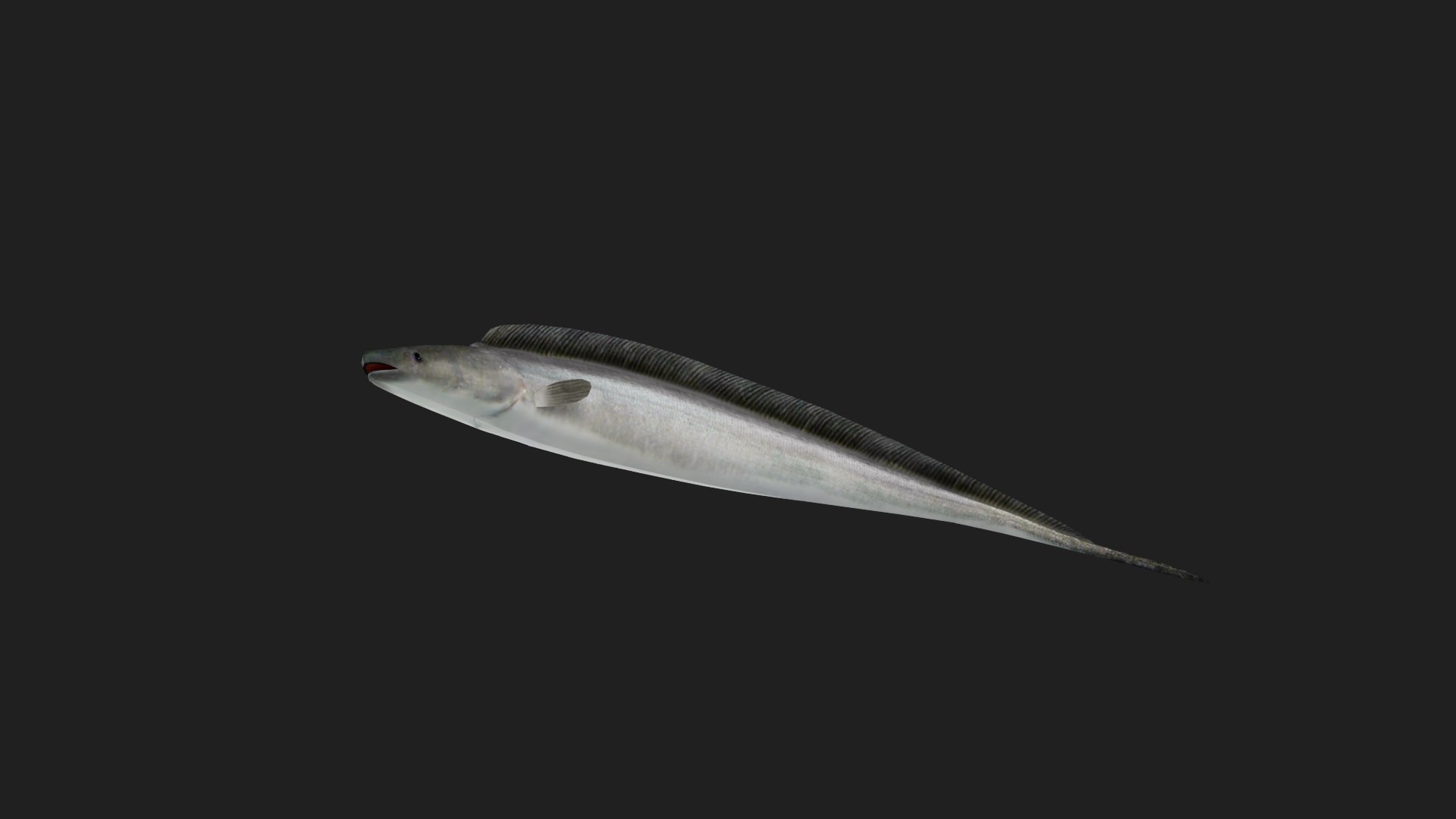 3D Model Aba Fish - TurboSquid 2127944