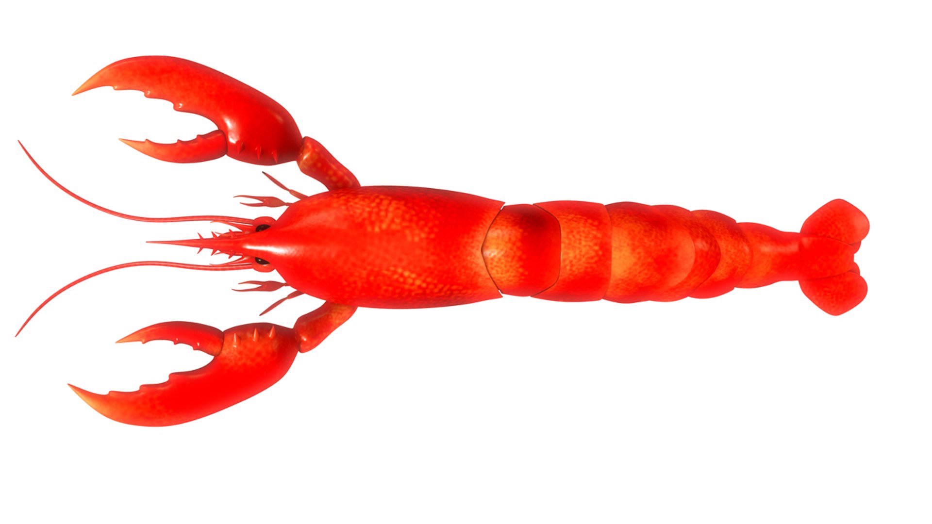 3d Lobster