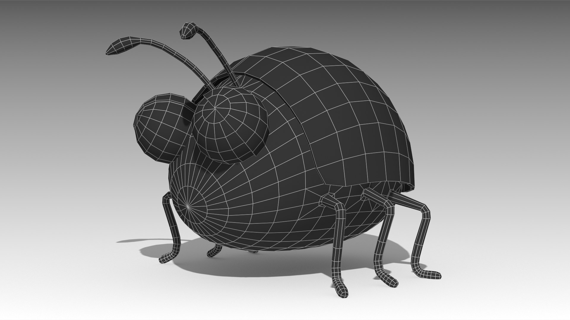 Ladybird Toon Animations 3D - TurboSquid 1555541