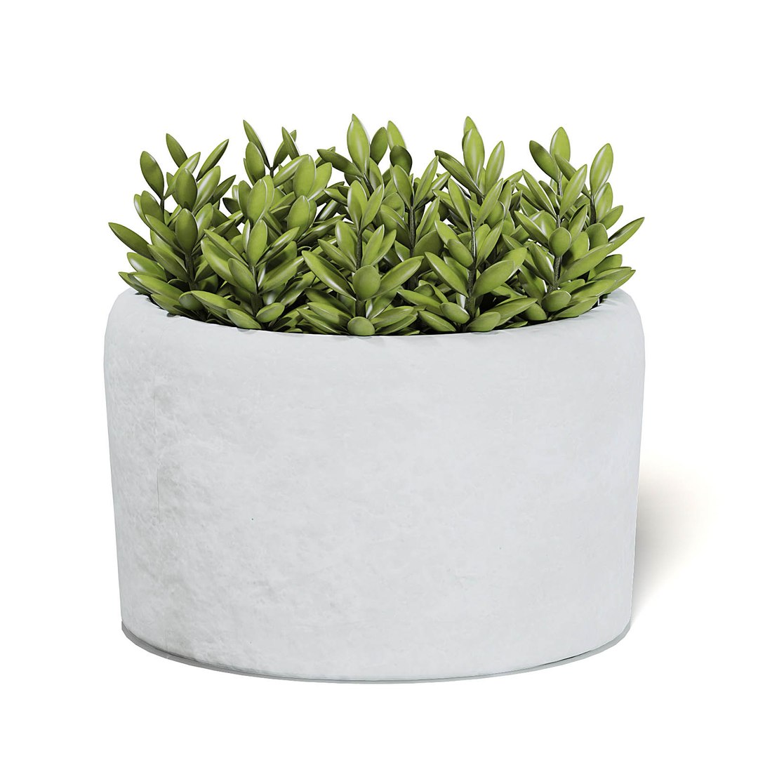 3D Small Plant Stone Pot Model - TurboSquid 1386784