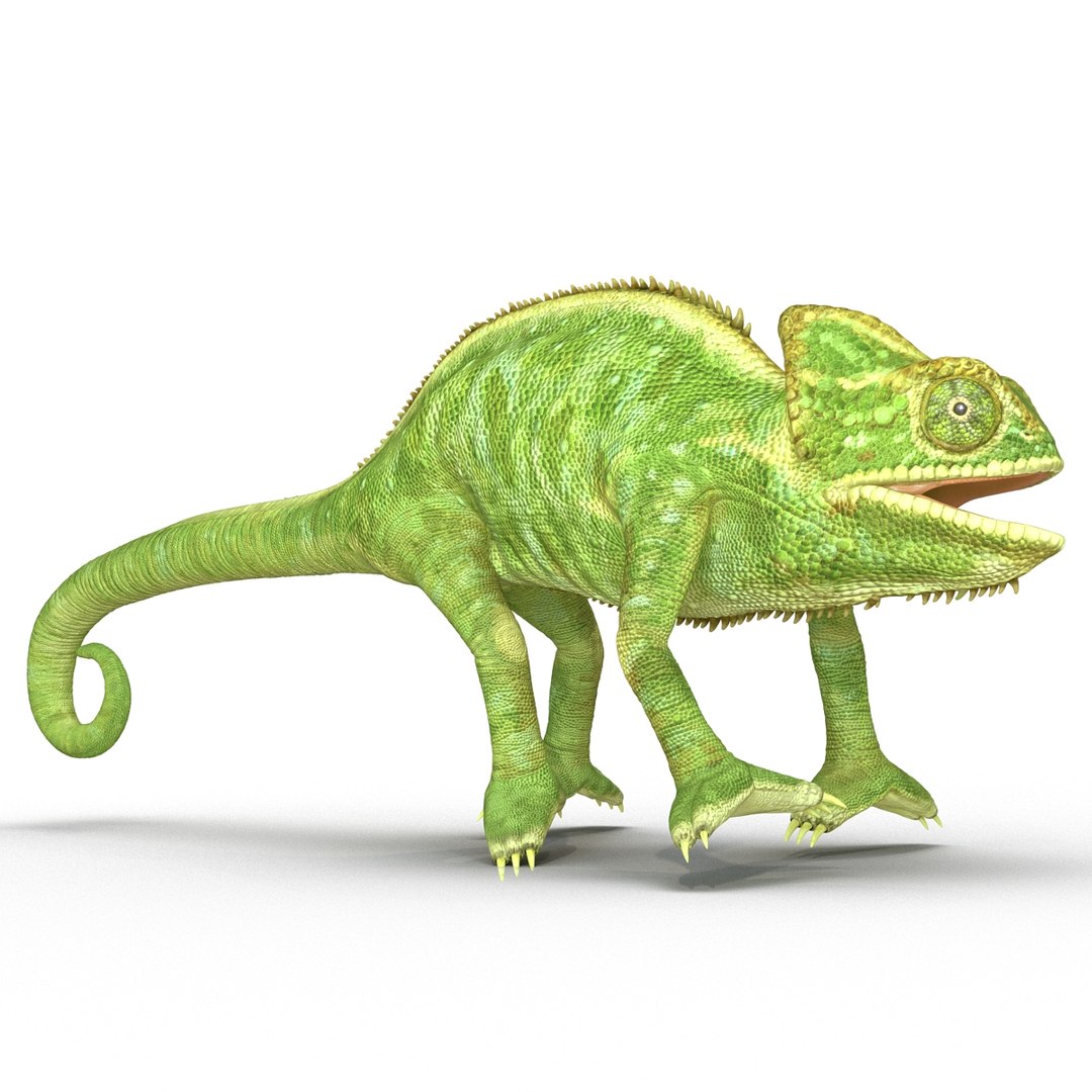 3d model chameleon rigged