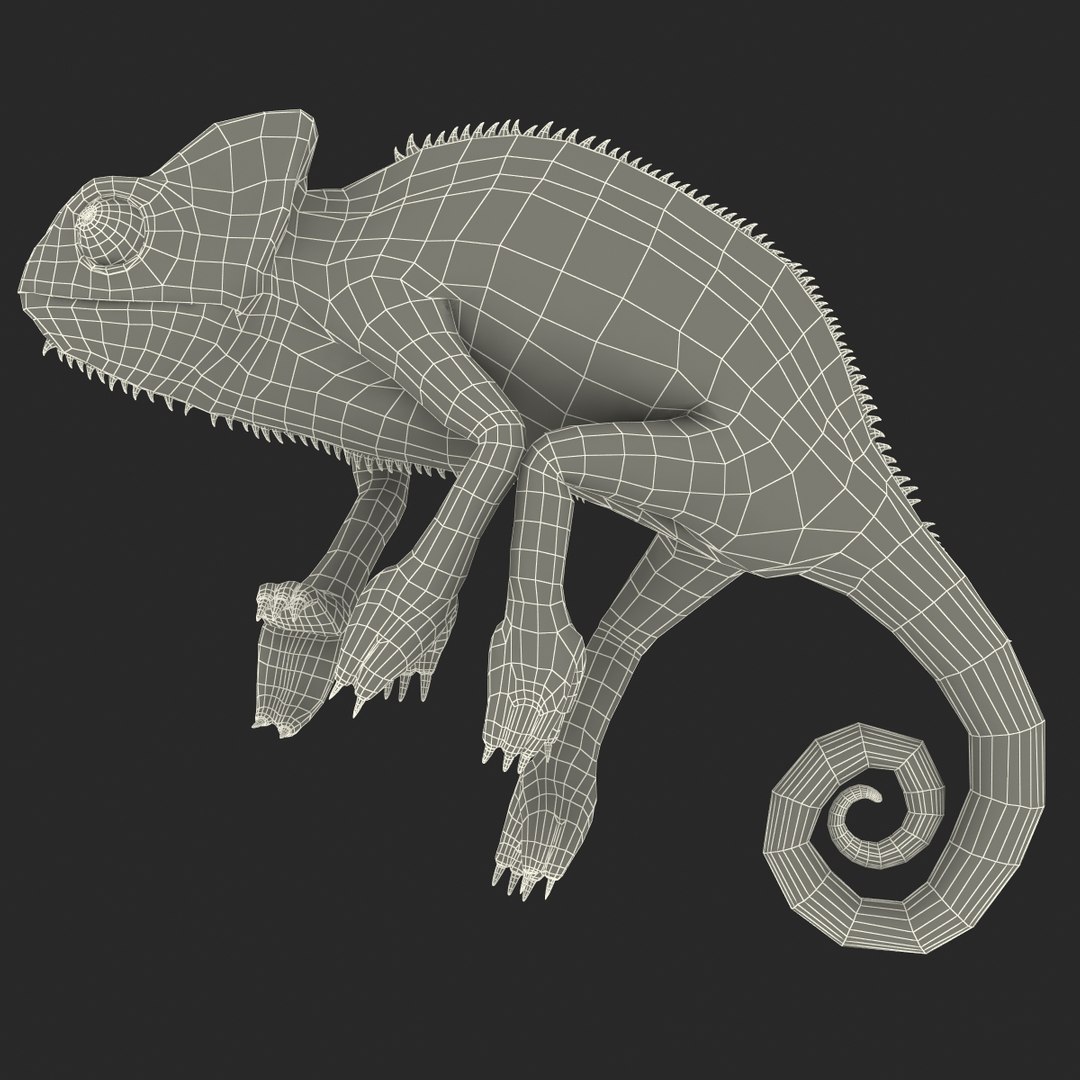 3d model chameleon rigged