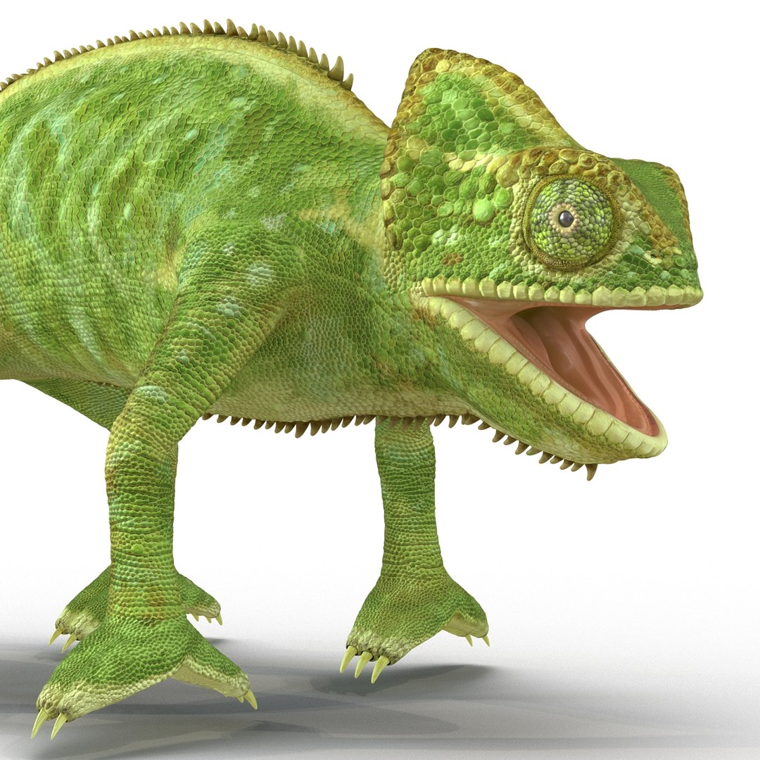 3d model chameleon rigged