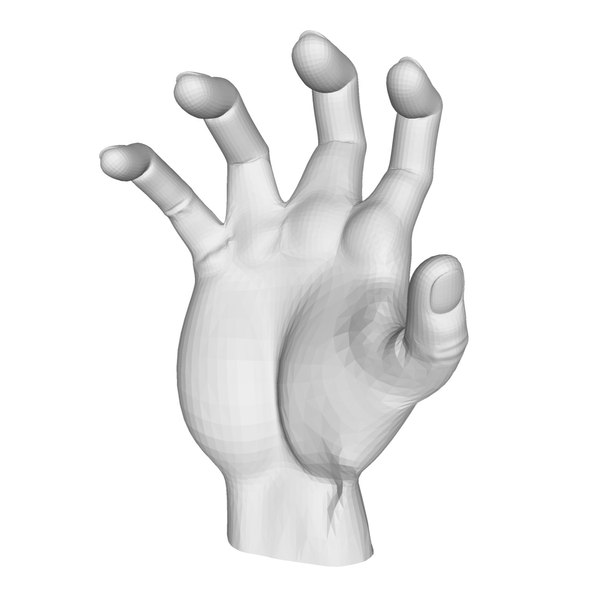 현실적인 손 모델 포즈 제스처 12 3D 모델 - TurboSquid 1975524