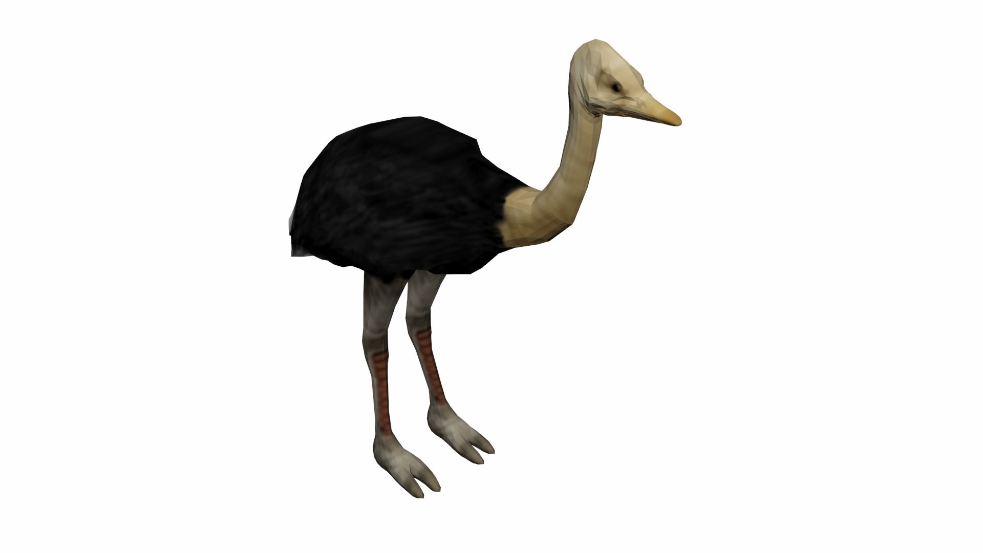 3D model ostrich - TurboSquid 1672277