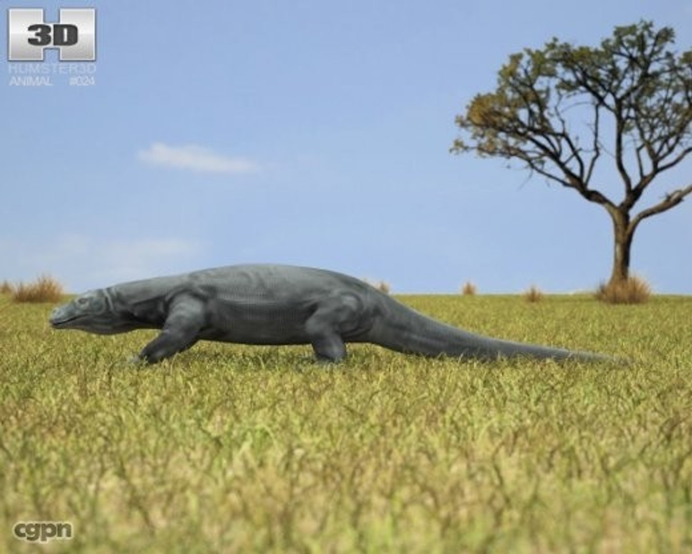 Monitor Komodo Dragon 3d Model